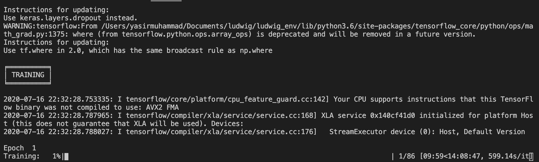 Bert Ludwig: Program killed during training · Issue #773 · ludwig-ai/ludwig · GitHub