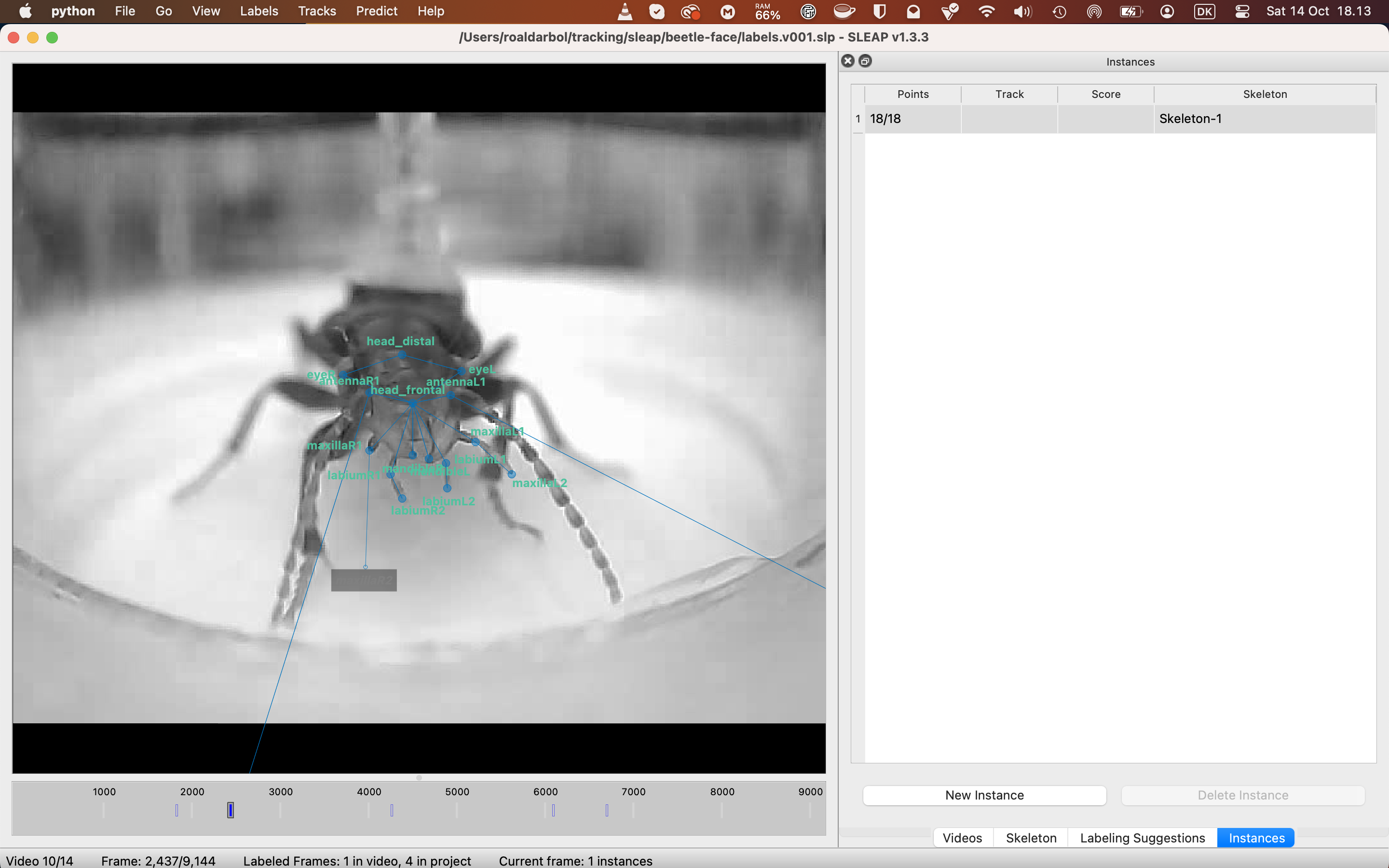 New label placed outside the frame · Issue #1551 · talmolab/sleap · GitHub