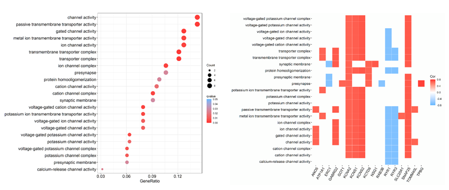 Sort y lable in heatplot · Issue #150 · YuLab-SMU/enrichplot · GitHub