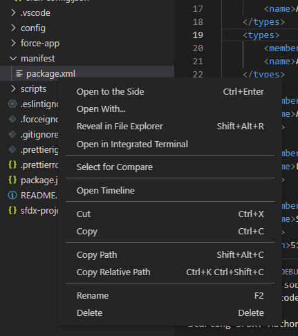 Version 51.10 Broke Package.xml Deploys & Retrieves · Issue #3179 · forcedotcom/salesforcedx ...
