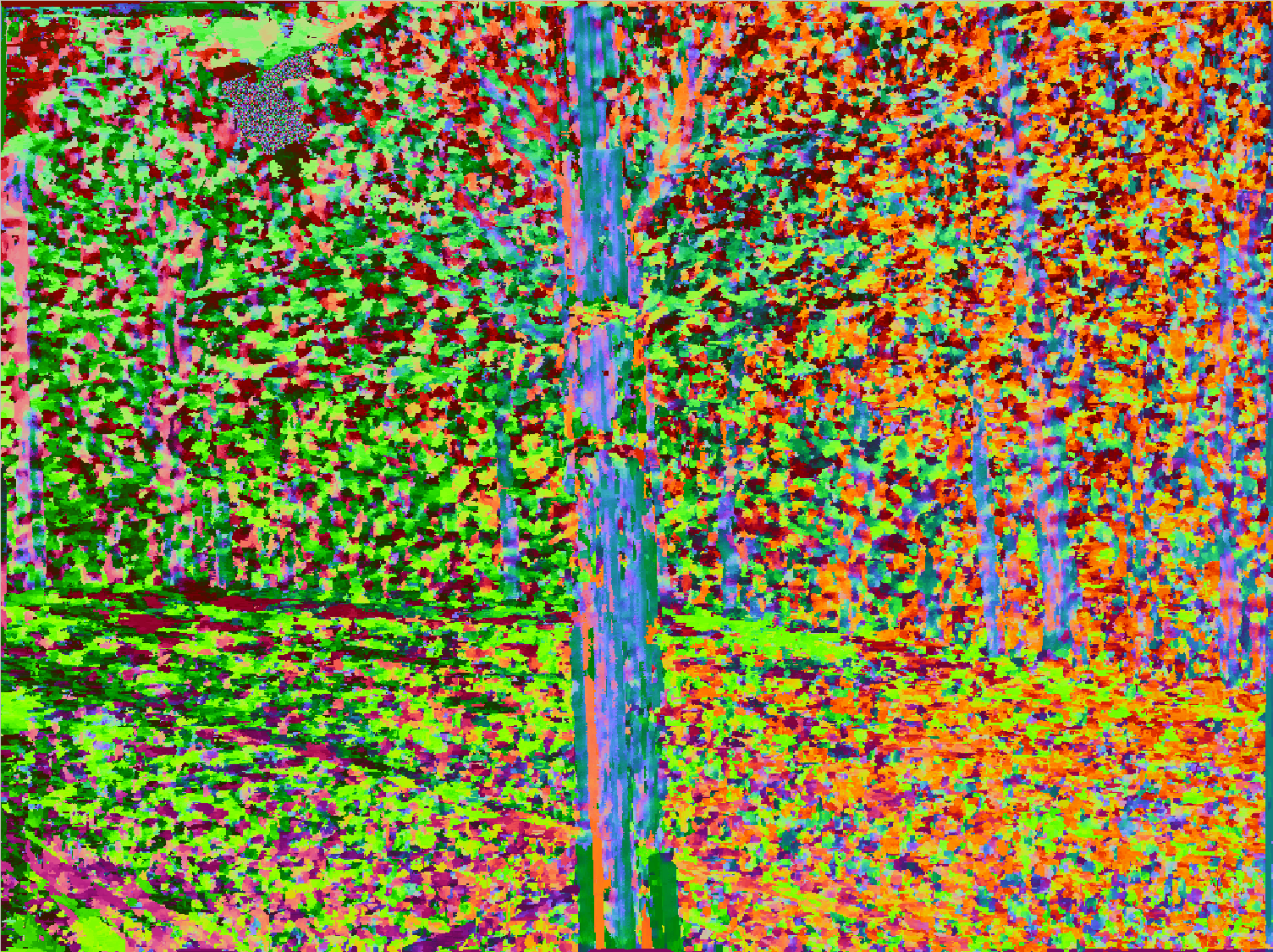 dense_stereo reconstruction ignoring all images · Issue #297 · colmap ...