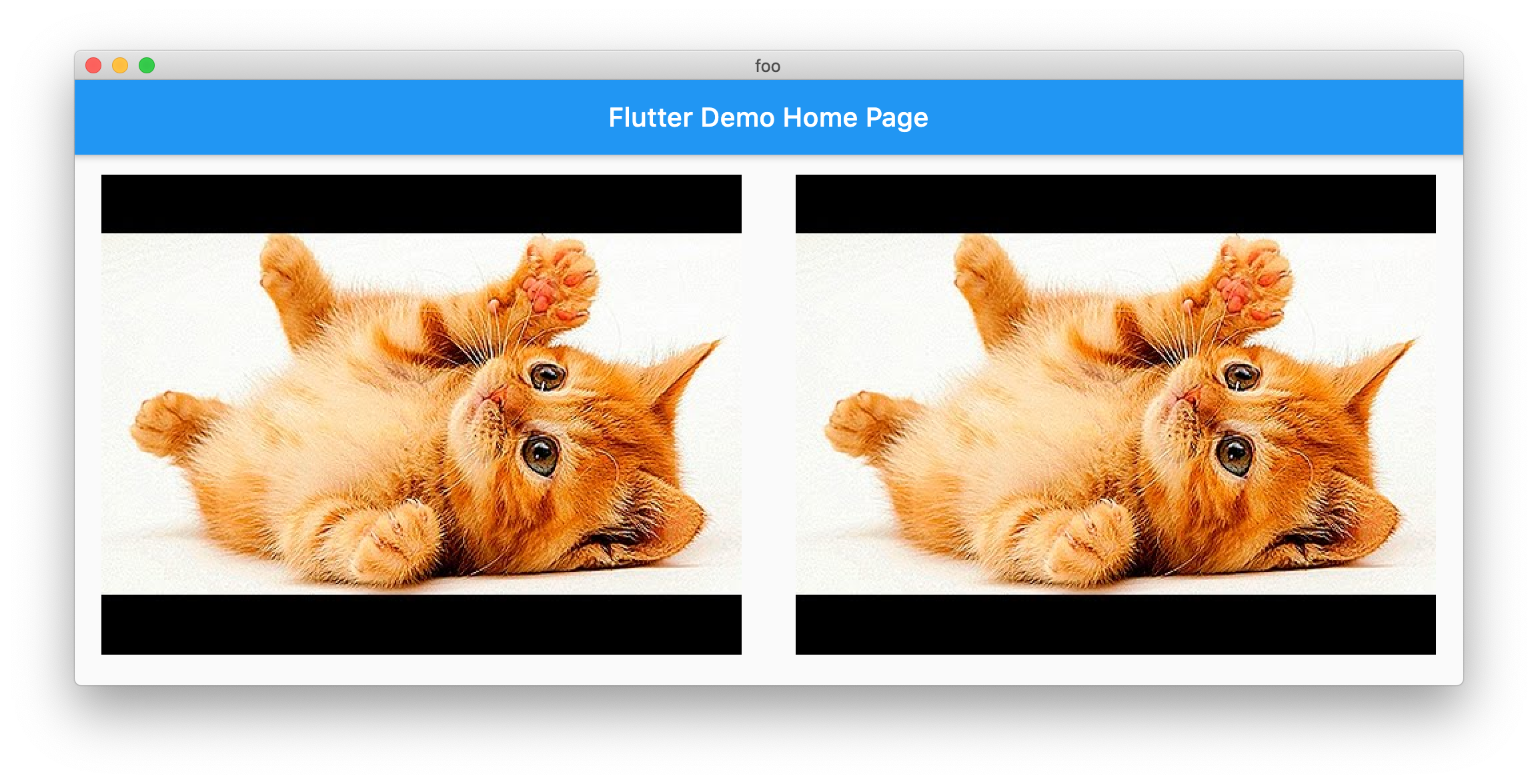 Imagememory Doesnt Render On The Web · Issue 53783 · Flutterflutter · Github