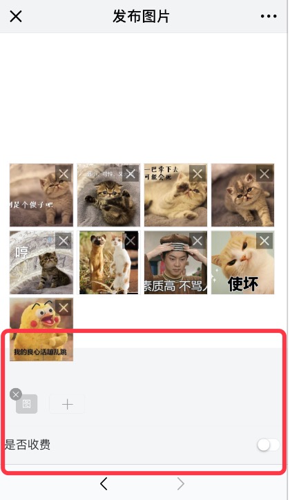 【SPA】话题详情-发布动态，选择图片超过4张，底部缺少背景 · Issue #509 · slimkit/plus · GitHub