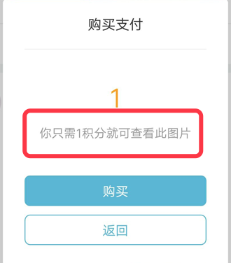 【SPA-bug】动态列表点击付费图片，付费提醒内容不对 · Issue #640 · slimkit/plus · GitHub