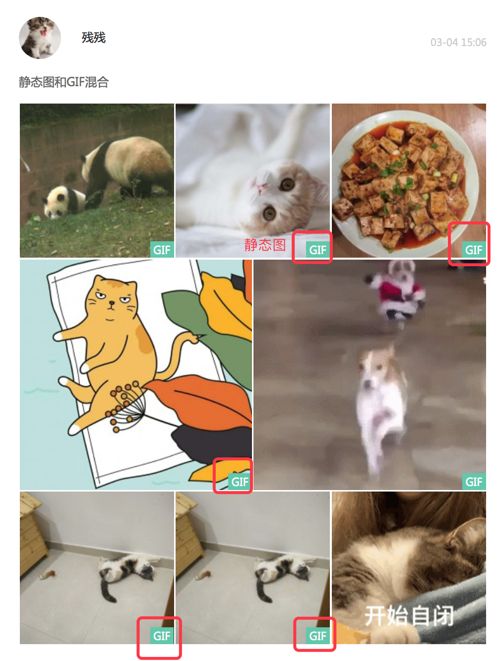 【PC-bug】动态列表所有图片都有GIF标识 · Issue #660 · slimkit/plus · GitHub