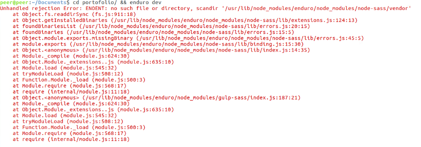 not starting · Issue #151 · Gottwik/Enduro · GitHub