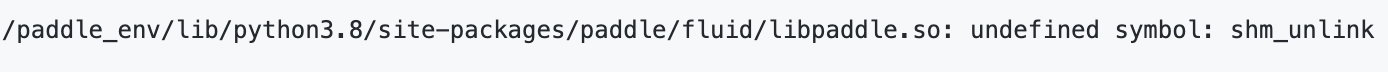 NameError: name 'libpaddle' is not defined · Issue #49800 · PaddlePaddle/Paddle · GitHub