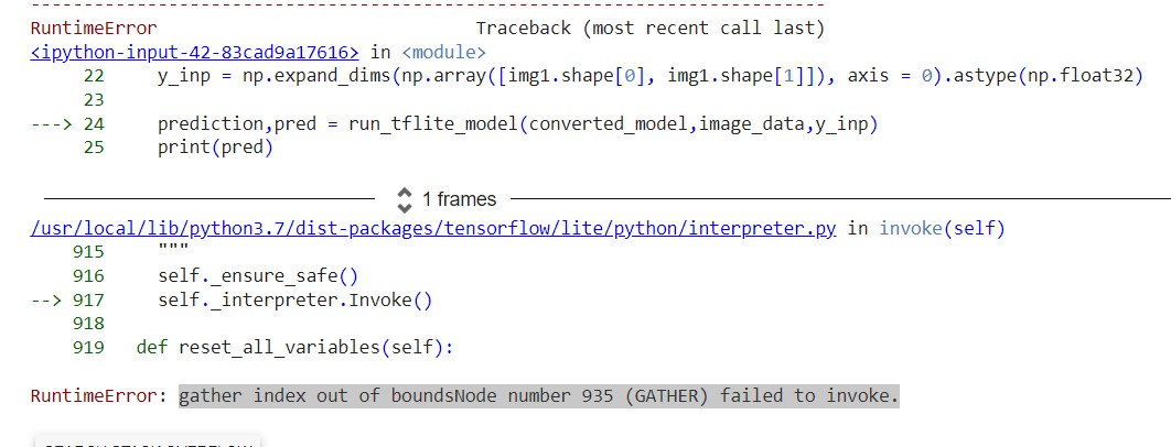 TFLite Interpreter.invoke()- gather index out of boundsNode number 935 (GATHER) failed to invoke ...