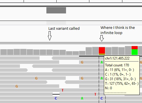 infinite loop · Issue #195 · freebayes/freebayes · GitHub