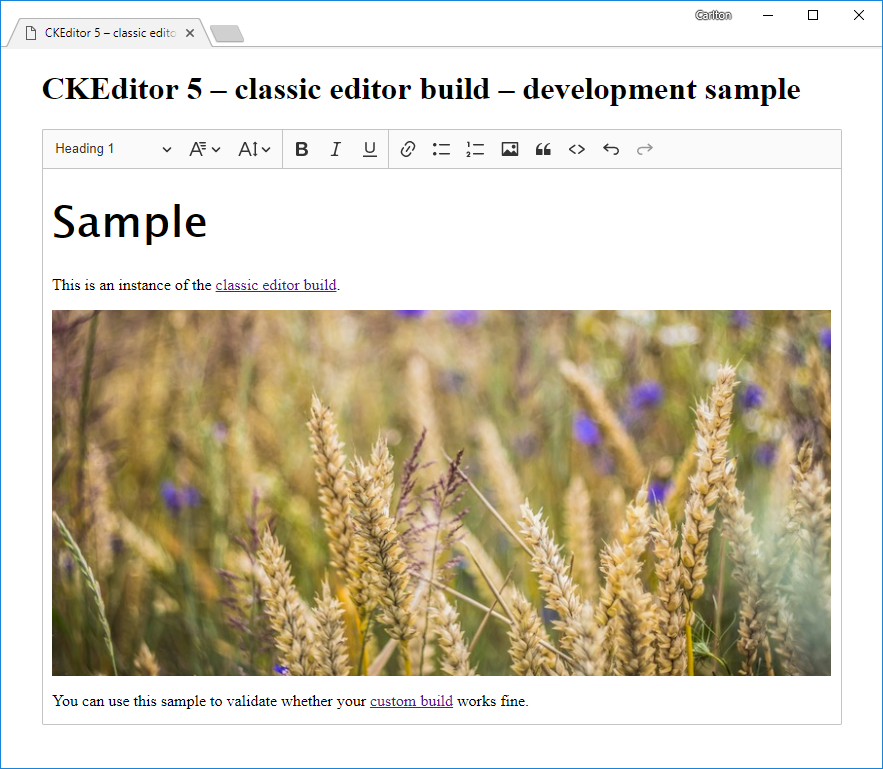 Pulling in the theme · Issue #2159 · ckeditor/ckeditor5 · GitHub