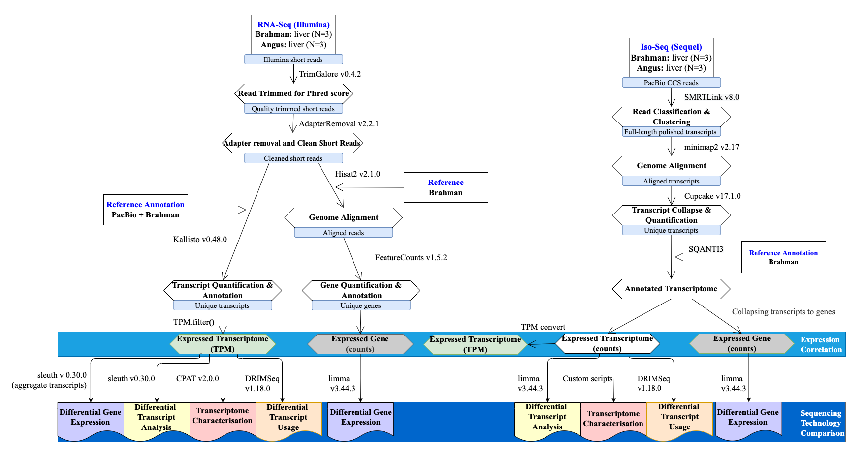 GitHub - DaviesCentreInformatics/Angus_Brahman_Iso-Seq