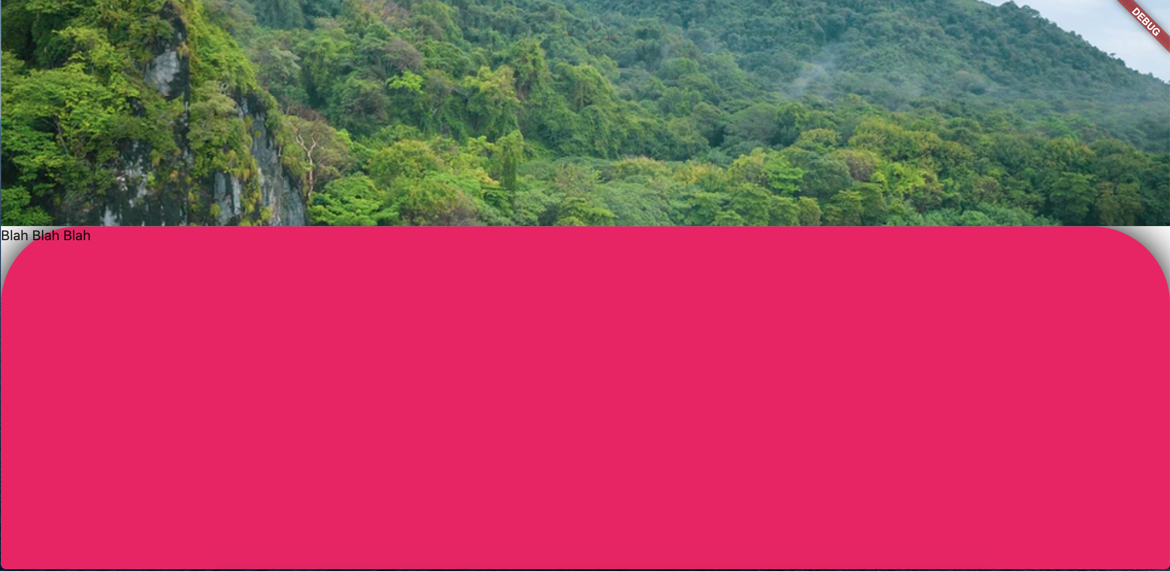 Sliverappbar Not Showing Background Image Web Skia Canvaskit · Issue 62780 · Flutterflutter