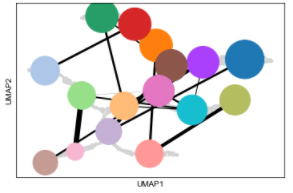 Issue with sc.pl.paga_compare() · Issue #1887 · scverse/scanpy · GitHub