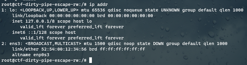 qemu 内网卡没有起来 · Issue #1 · ssst0n3/ctf_dirty-pipe-escape-rw · GitHub