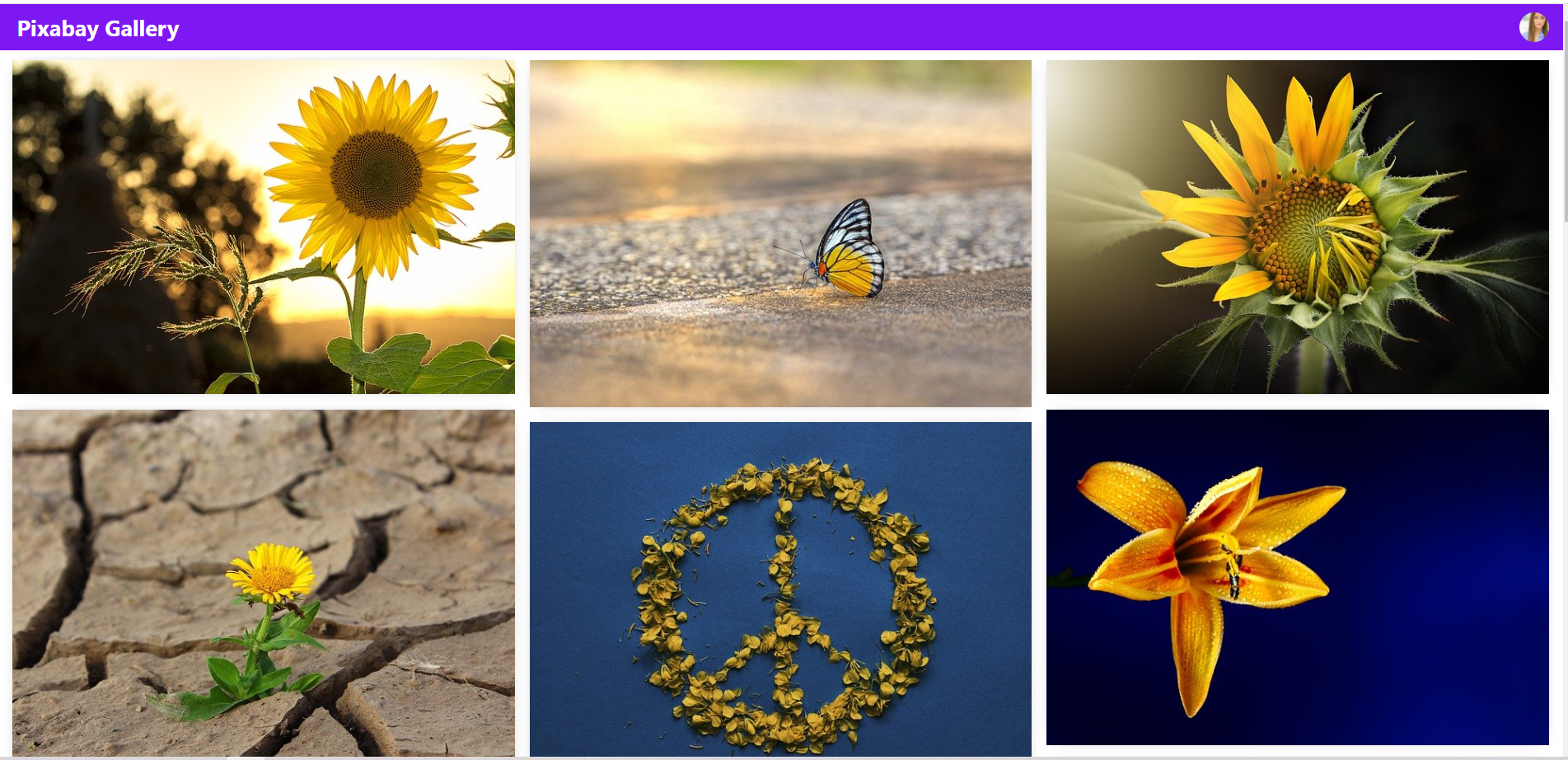 GitHub - MangeshIpper/React-pixabay-img-gallery: In this project I am ...