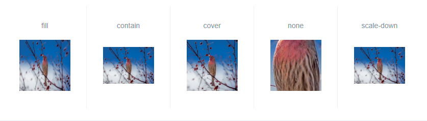 能否考虑新增相册组件 · Issue #76 · cq-panda/Vue.NetCore · GitHub