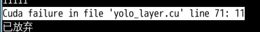 load two models report errors · Issue #431 · jkjung-avt/tensorrt_demos · GitHub