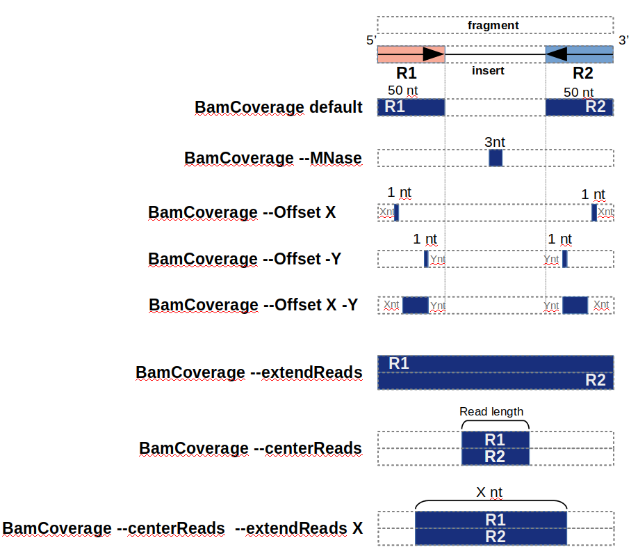 BamCoverage paired-end reads/fragment processing (extend, center, mnase, offset...) · Issue ...