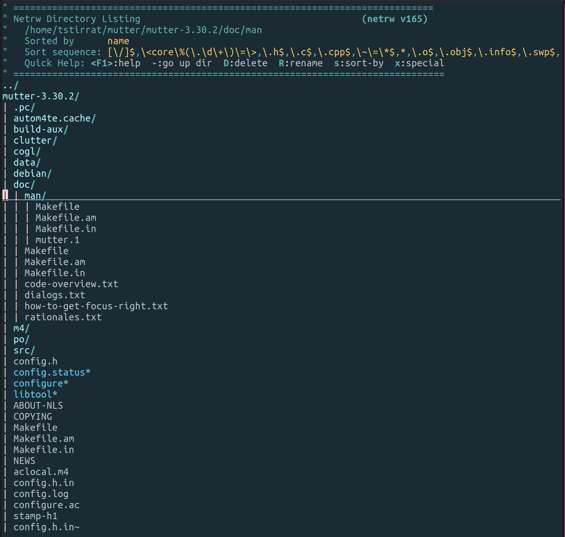 Netrw: tree view + nested directories + redraws yields broken UI · Issue #10832 · neovim/neovim ...