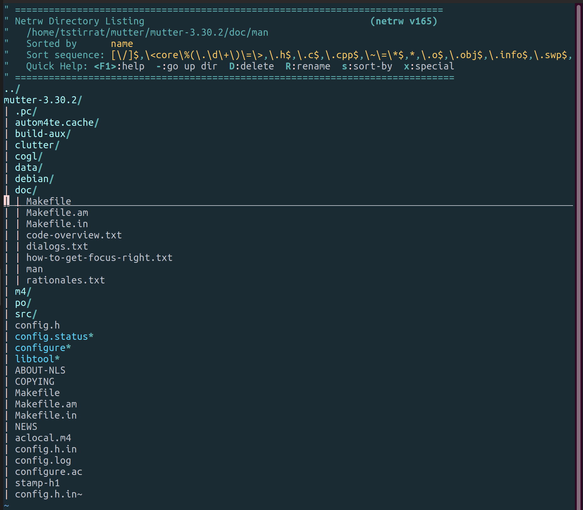 Netrw: tree view + nested directories + redraws yields broken UI · Issue #10832 · neovim/neovim ...