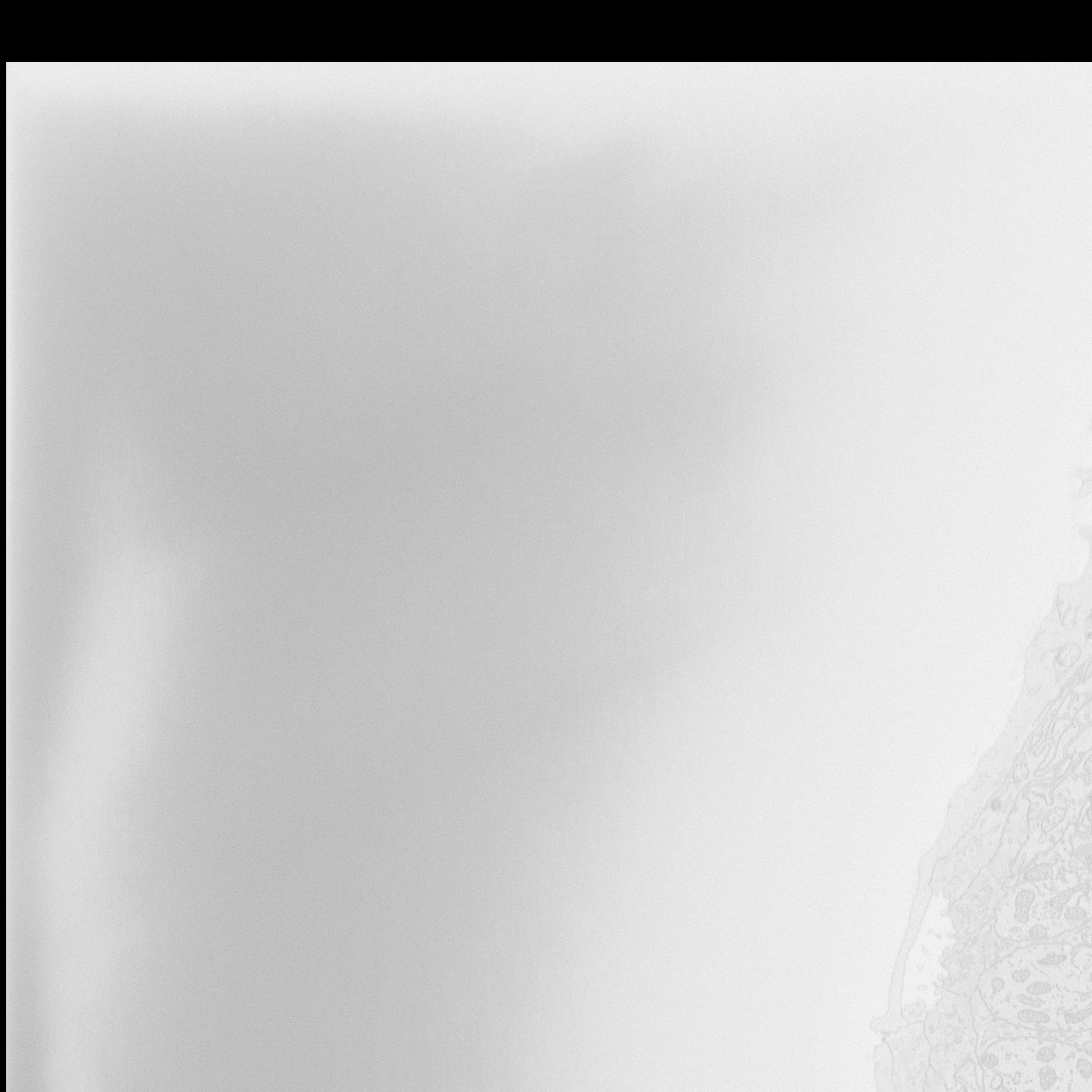 Downsampling omitts 3/4 of data · Issue #17 · scalableminds/webknossos-libs · GitHub