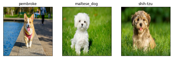 GitHub - MidMurali/DogBreedPredictor: Feed a dog image as the input and ...