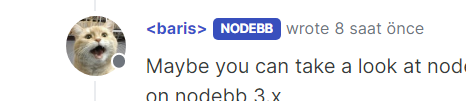 replied to/wrote text does not work in other languages · Issue #11218 · NodeBB/NodeBB · GitHub