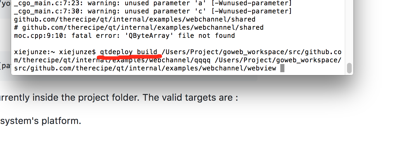 webview demo do not work · Issue #498 · therecipe/qt · GitHub