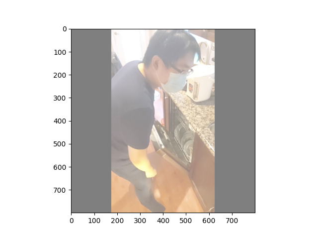 blank visualization · Issue #4 · facebookresearch/d3d-hoi · GitHub