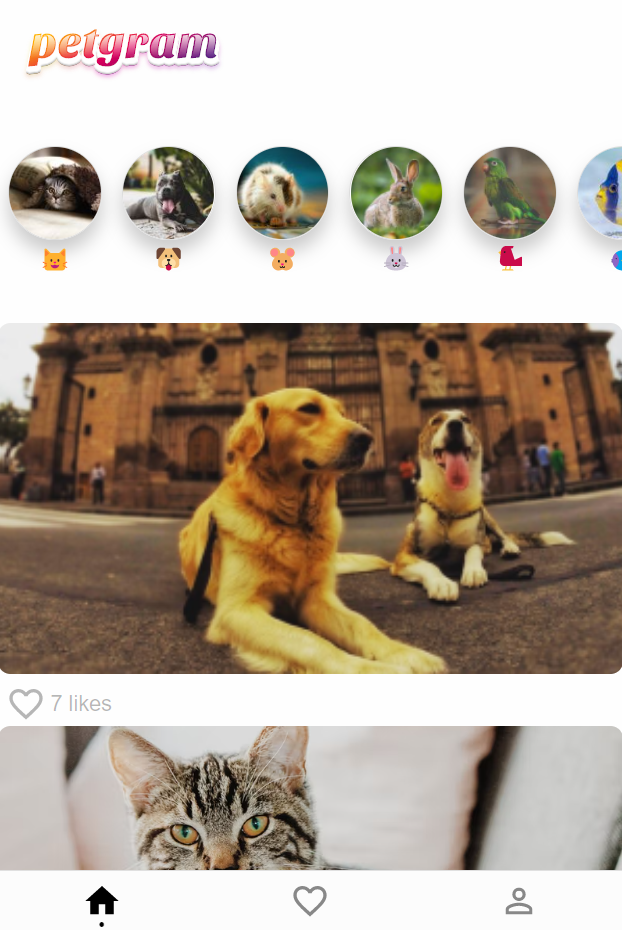 GitHub - evinracher/petgram: A react app that allows you to see some fun pet pictures