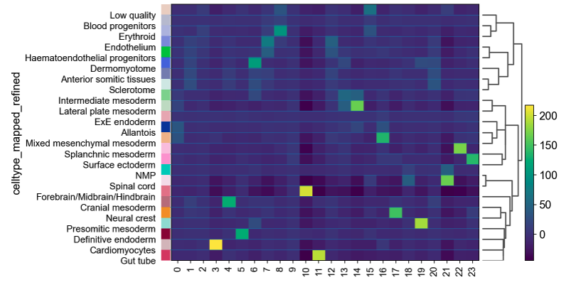 bug plotting.nhood_enrichment and plotting.interaction_matrix · Issue #169 · scverse/squidpy ...