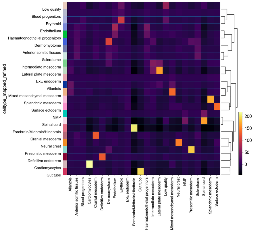 bug plotting.nhood_enrichment and plotting.interaction_matrix · Issue #169 · scverse/squidpy ...