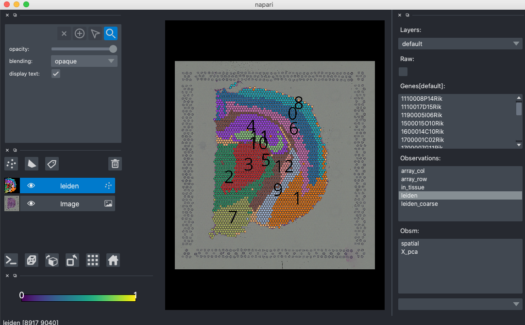 Allow text coloring and add edge to text · Issue #2019 · napari/napari · GitHub