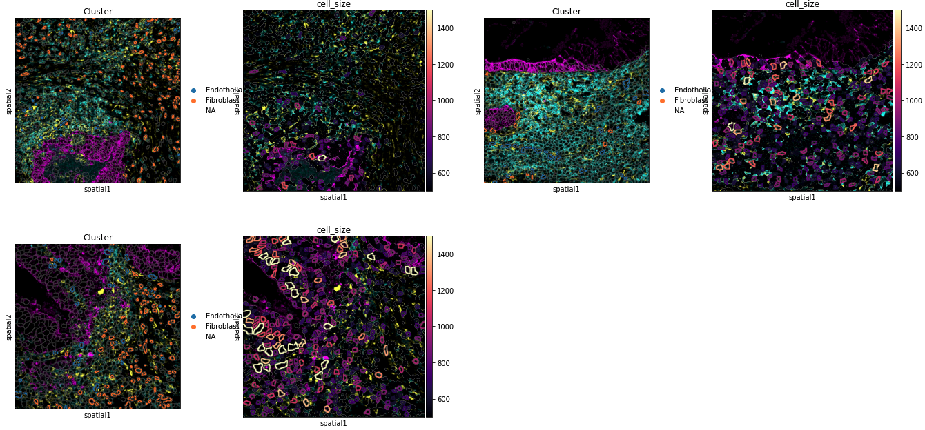 Plotting values on top of segmentation mask · Issue #427 · scverse/squidpy · GitHub