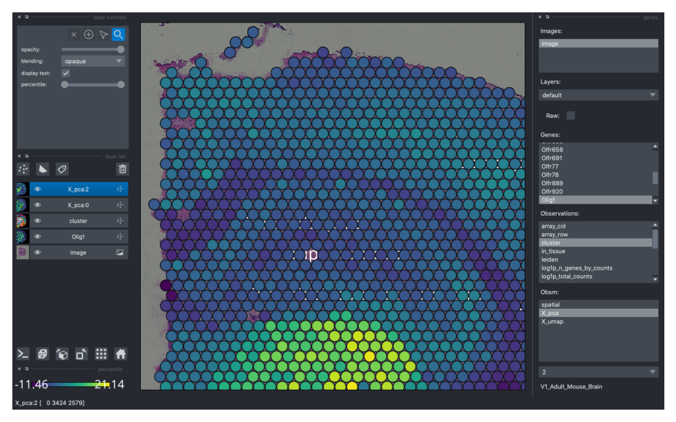 `grid_layout` not available anymore · Issue #4709 · napari/napari · GitHub