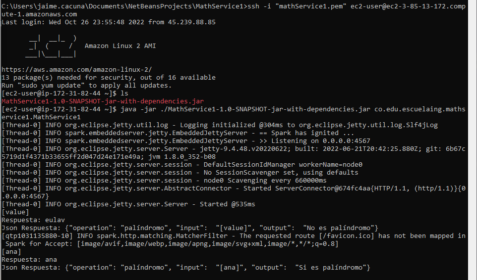 GitHub - Nicolascastro25/Parcial-2-Arep