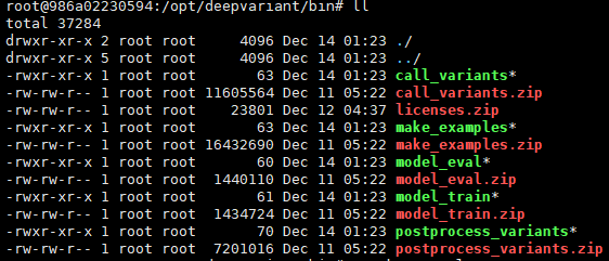 No function of Docker container for DeepVariant · Issue #16 · google/deepvariant · GitHub