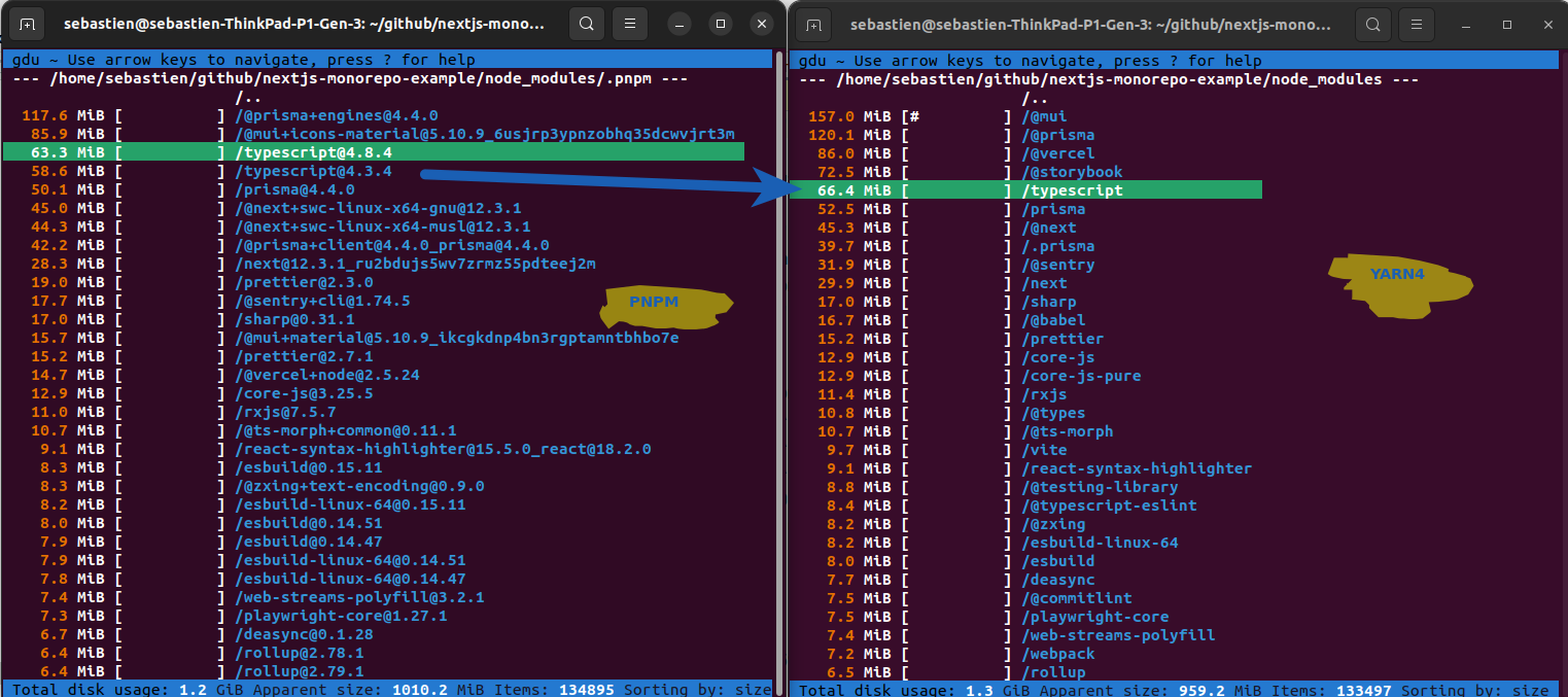 Duplicate dependencies in store · Issue #5504 · pnpm/pnpm · GitHub