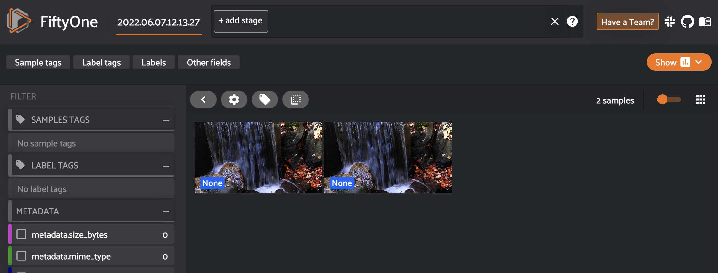 [BUG] Frame-level labels incorrectly appear as None in App grid view · Issue #1837 · voxel51 ...