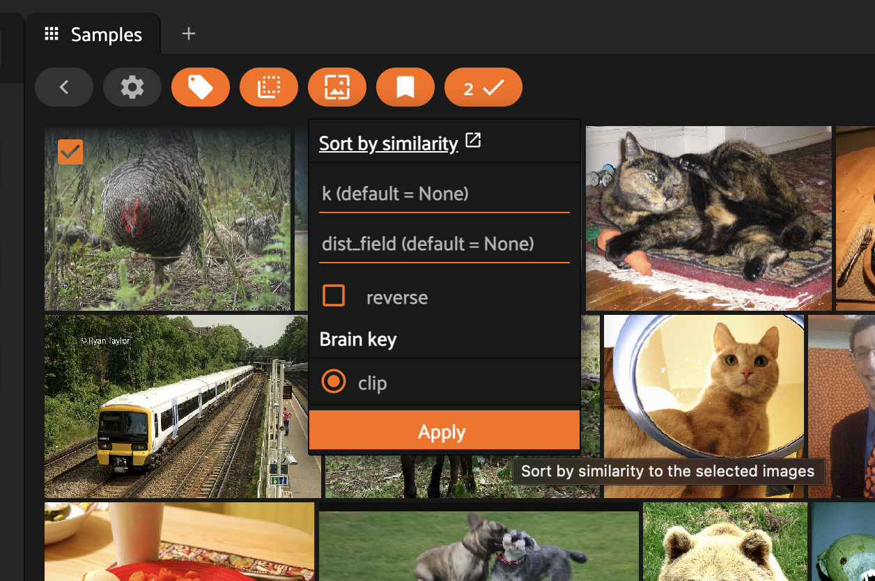 [BUG] Sorting by similarity does not work on develop · Issue #2576 · voxel51/fiftyone · GitHub