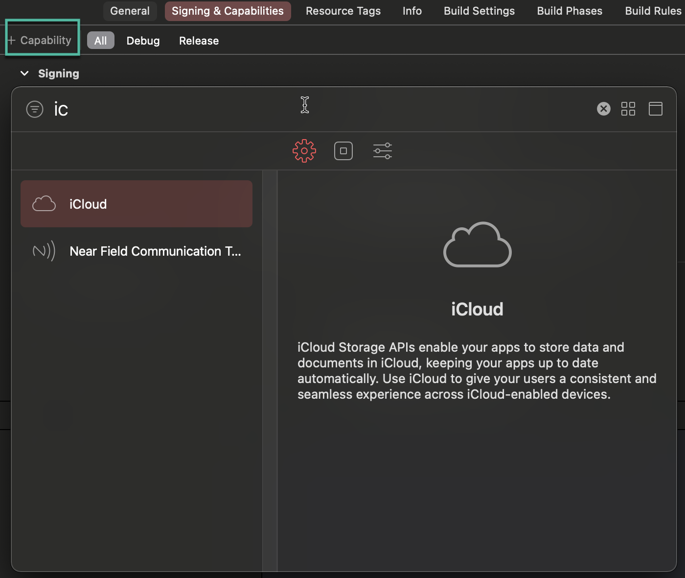 Not seeing "icloud document" option in xcode · Issue #365 · react-native-documents/document ...