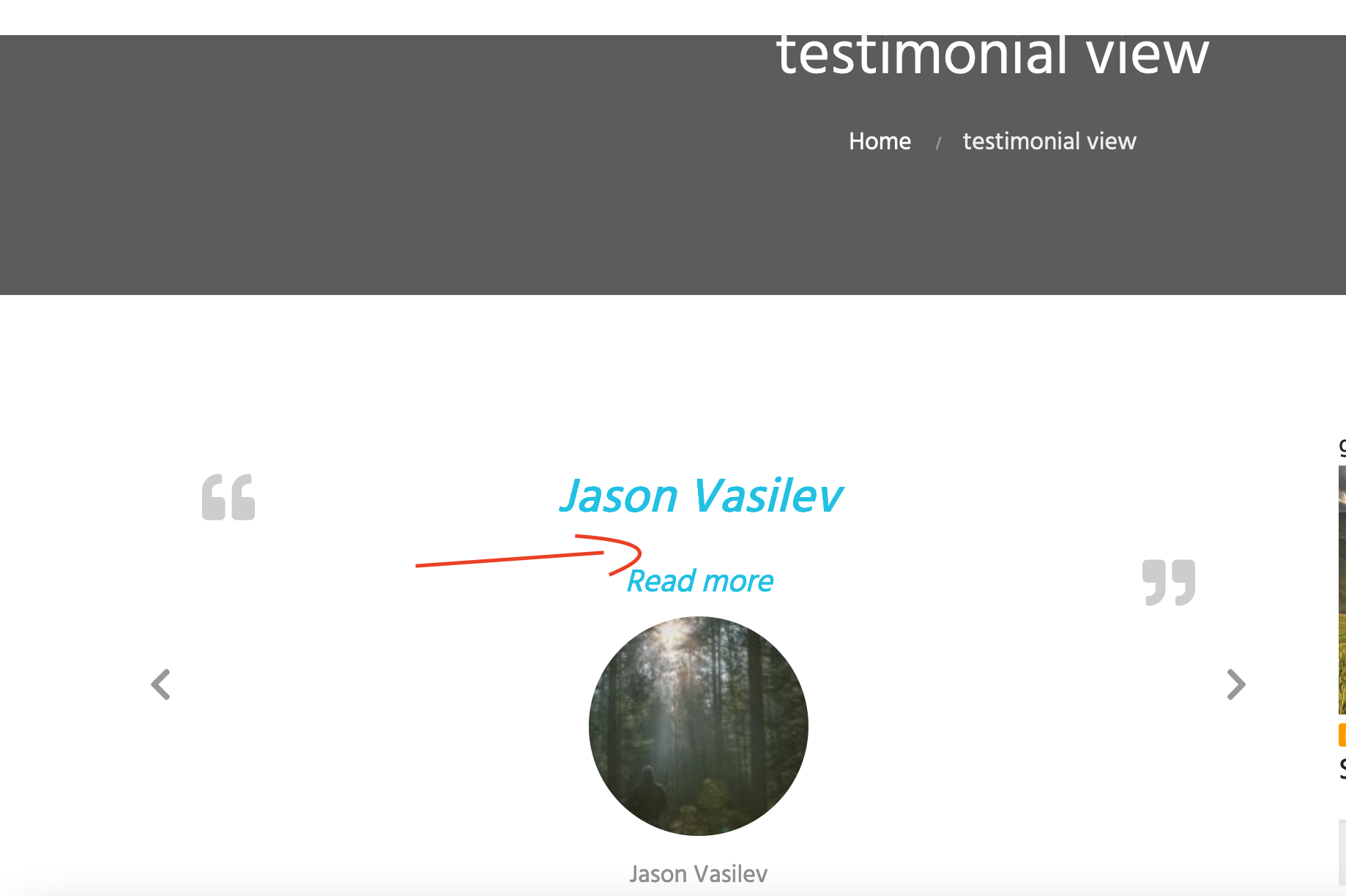 Manual Excerpt Missing After Update · Issue 220 · Wpchillstrong Testimonials · Github 
