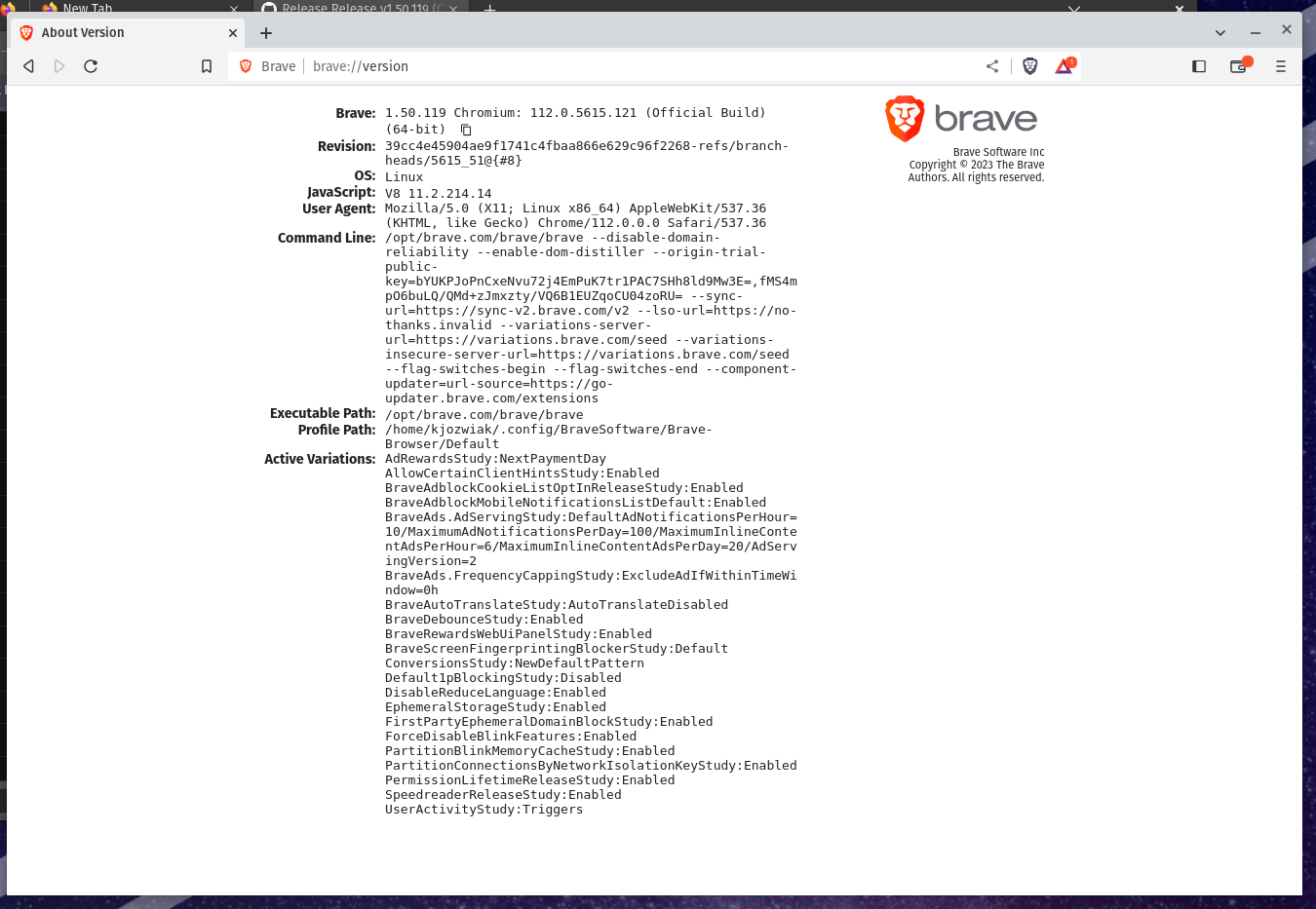 Upgrade From Chromium 1120561587 To Chromium 11205615121 · Issue 29734 · Bravebrave 