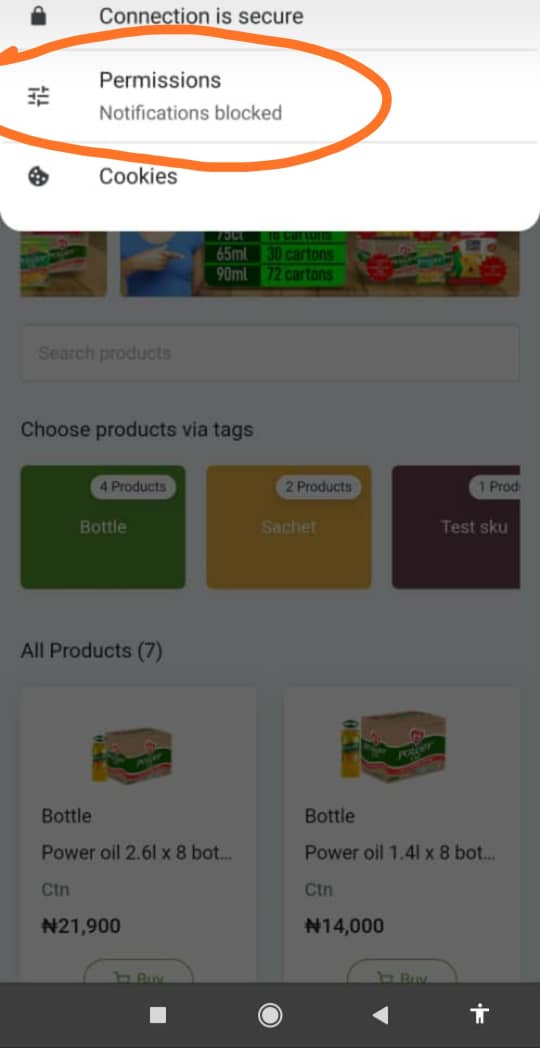 Installing twa blocks notification permission · Issue #541 · GoogleChromeLabs/bubblewrap · GitHub