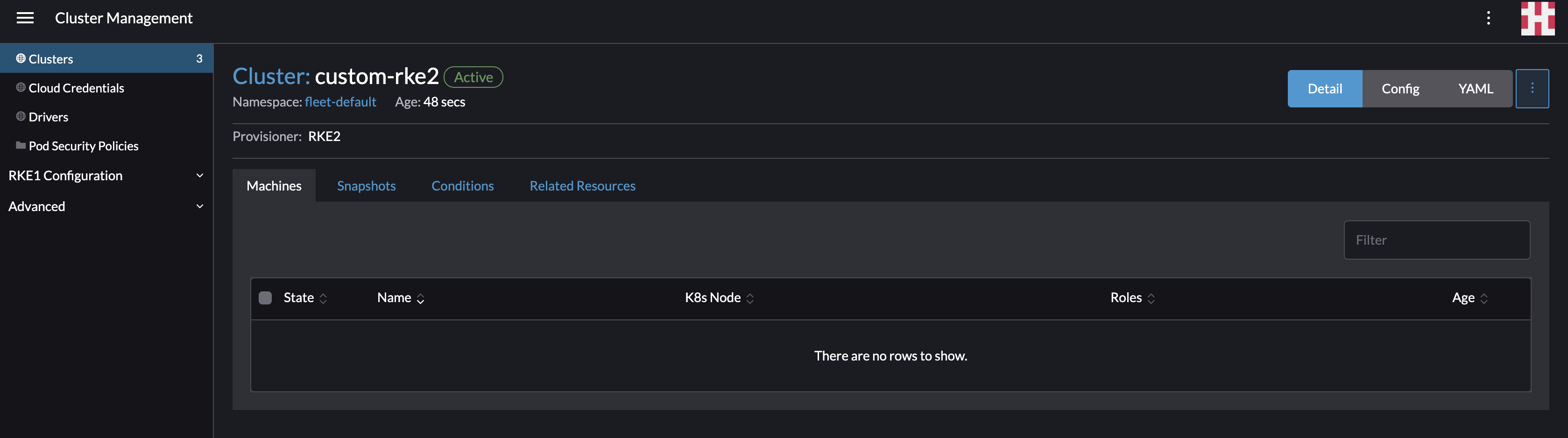 RKE2 Custom Cluster details page taking long time to show after creating a cluster and No ...