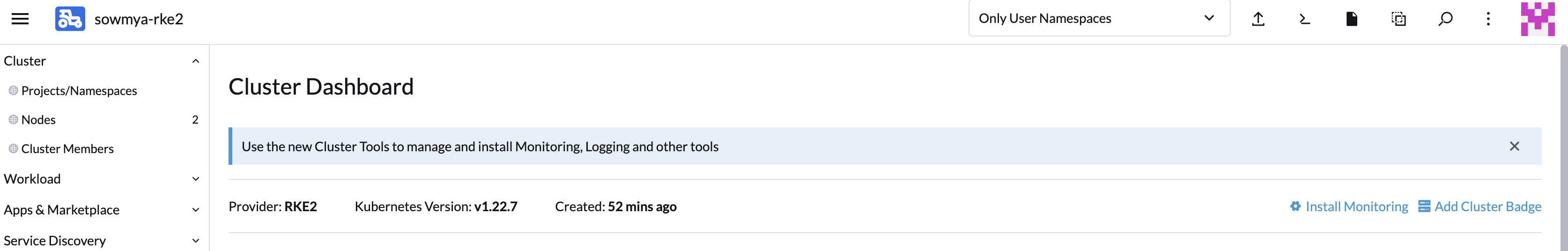 UI Cluster badges have cut off custom description when using long descriptions · Issue #5293 ...