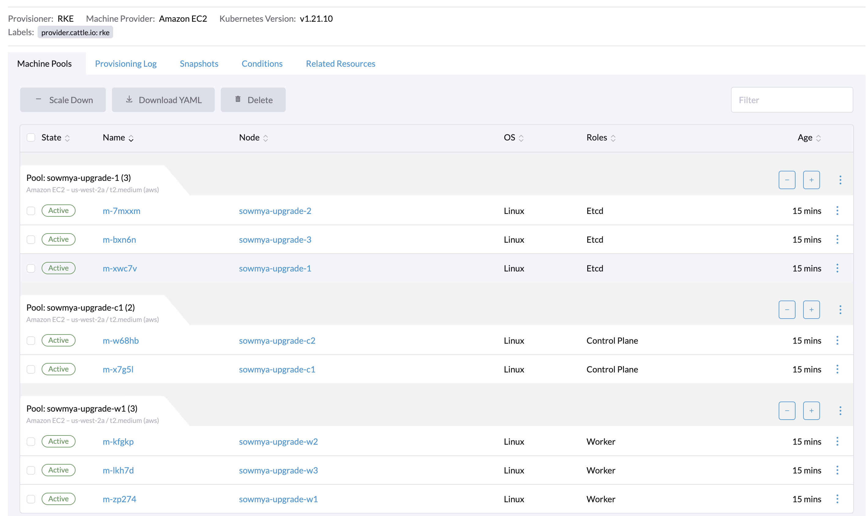 Nodes showing incorrect roles in an RKE1 node driver cluster · Issue #36860 · rancher/rancher ...