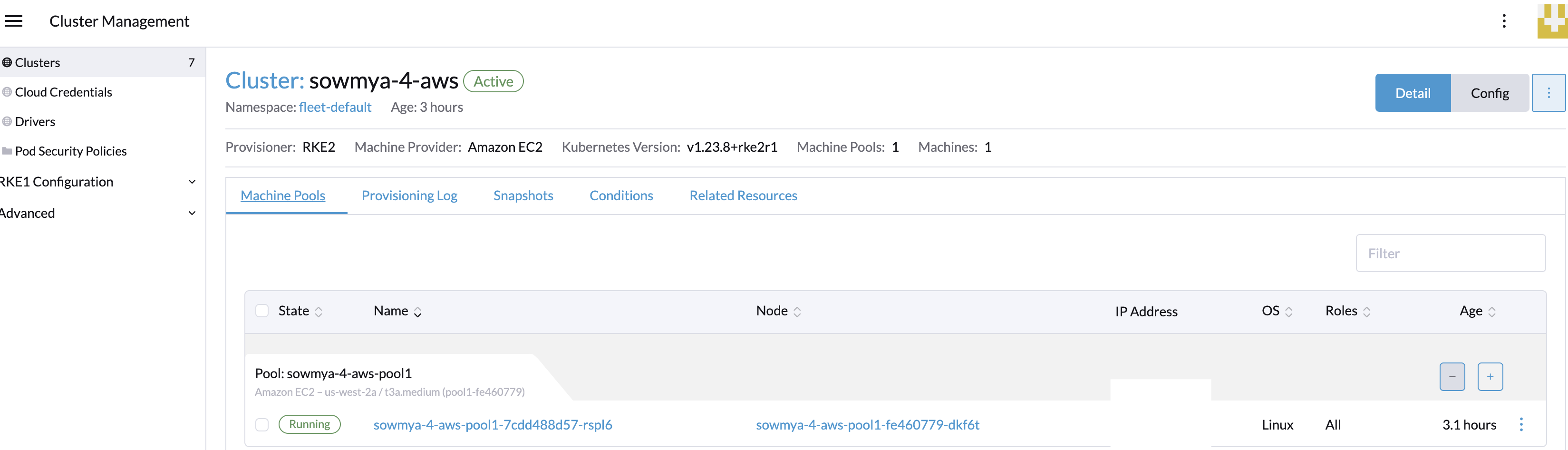 `Invalid value: "cluster-name-c-xx-rs-cwn4m_2022-03-24T20:07:42Z.zip-s3"` error during etcd ...