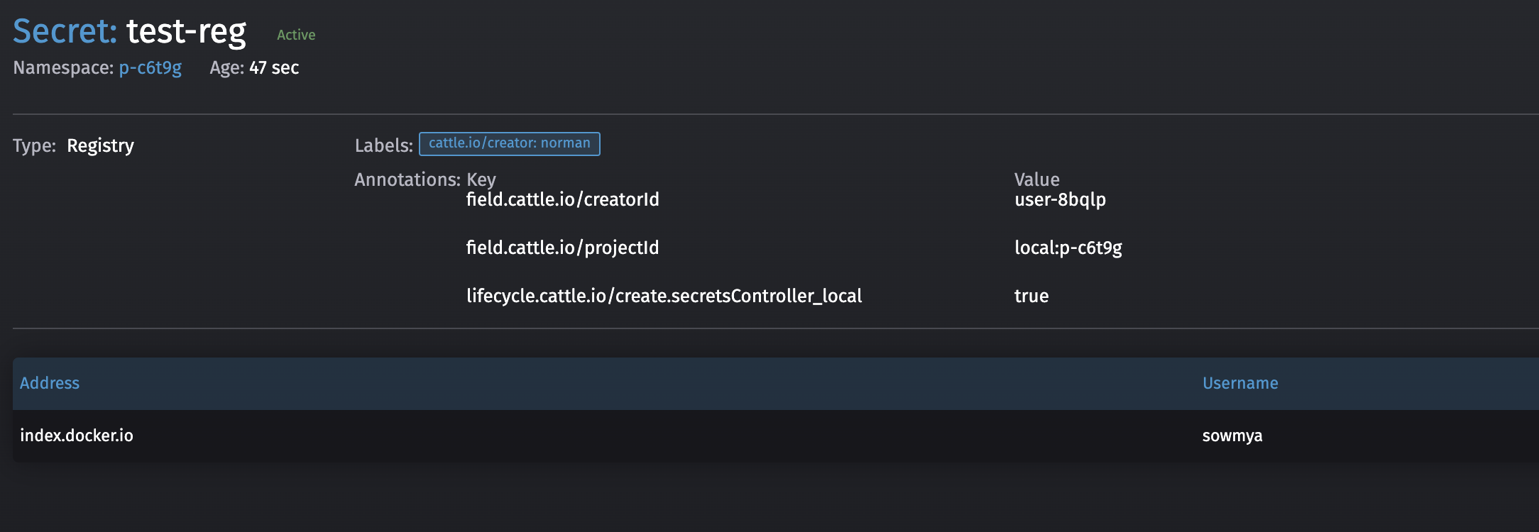 Updates To Detail Page · Issue 817 · Rancherdashboard · Github