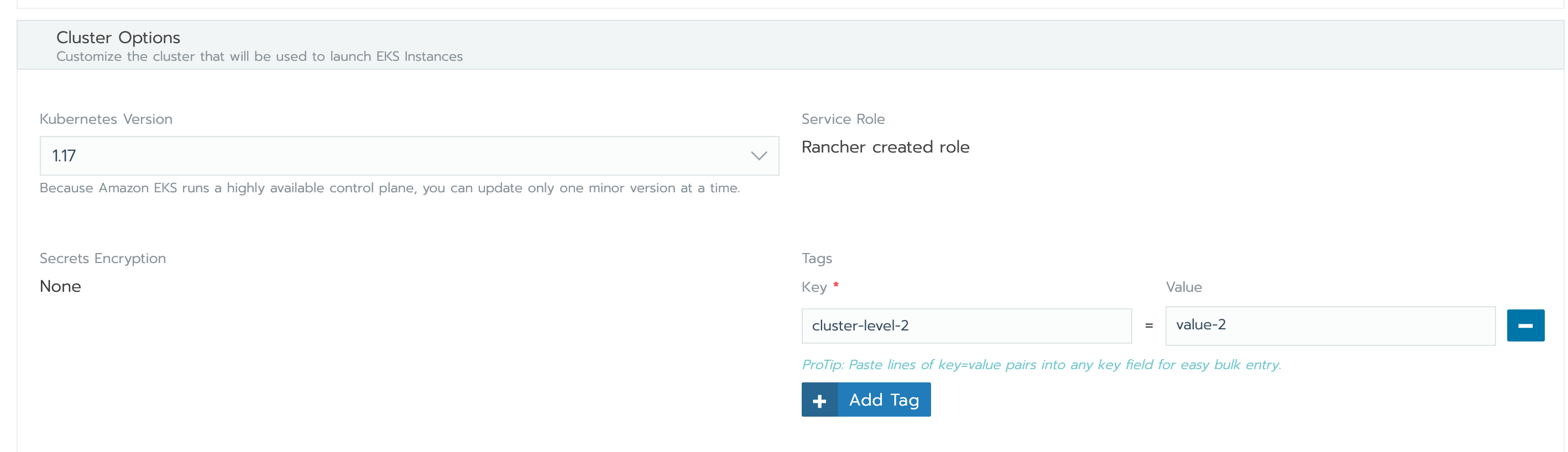Ui Issue While Adding A Cluster Level Tag In The Eks Cluster · Issue 28940 · Rancherrancher 9421